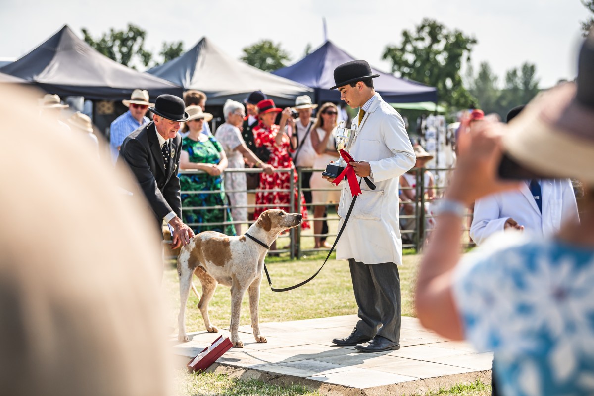 Young Handlers Class – Festival of Hounds