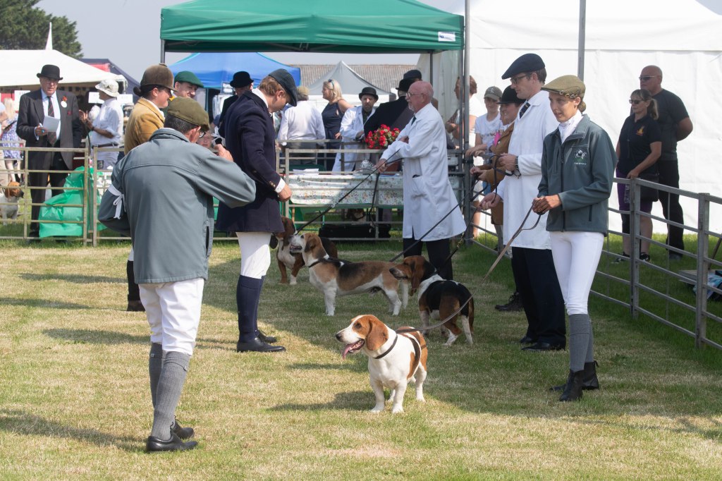 Masters of Basset Hounds Association- MBHA – Festival of Hounds